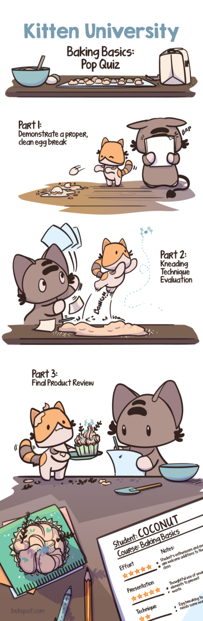 Kitten University: Baking Basics – Pop Quiz – BeKyoot