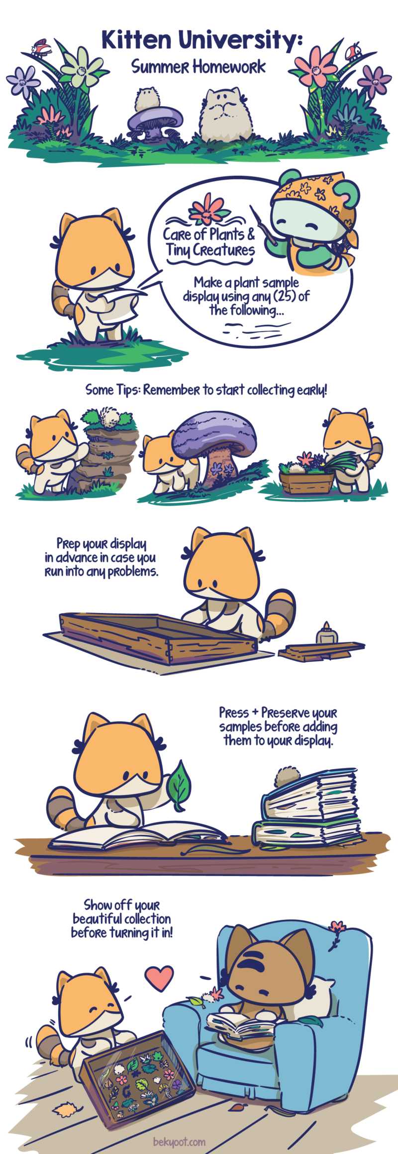 Kitten University: Summer Homework – BeKyoot
