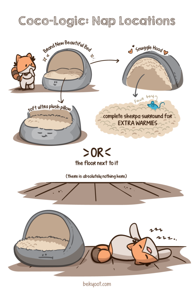 Coco-Logic: Nap Locations – BeKyoot