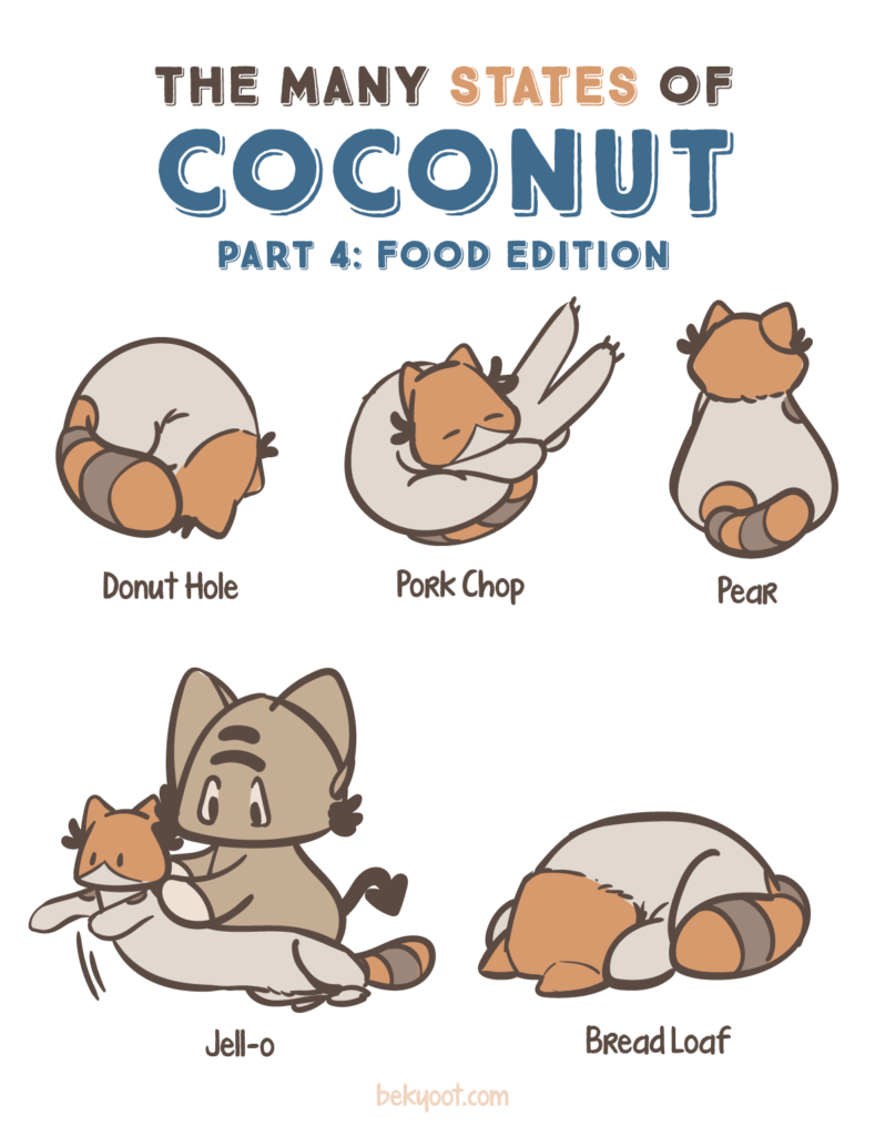 The Many States of Coconut Pt 4: Food Edition – BeKyoot