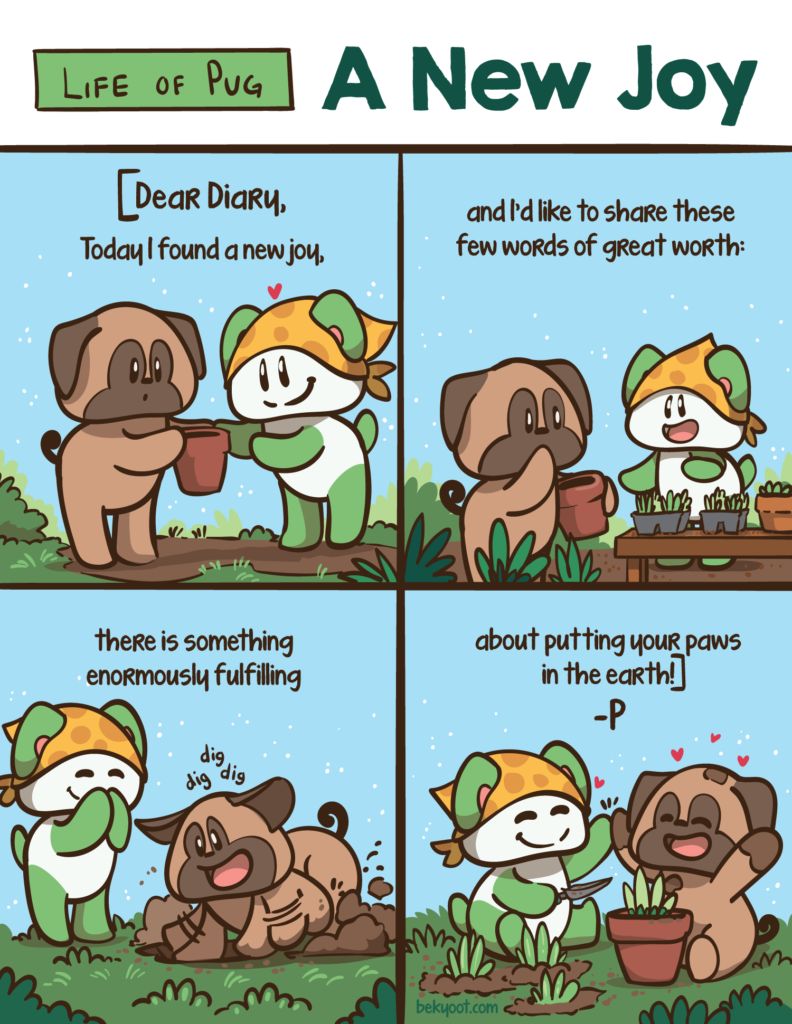 A New Joy – BeKyoot