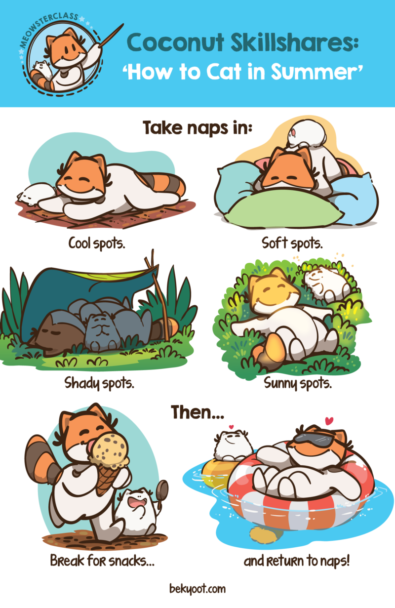 How to Cat in Summer – BeKyoot